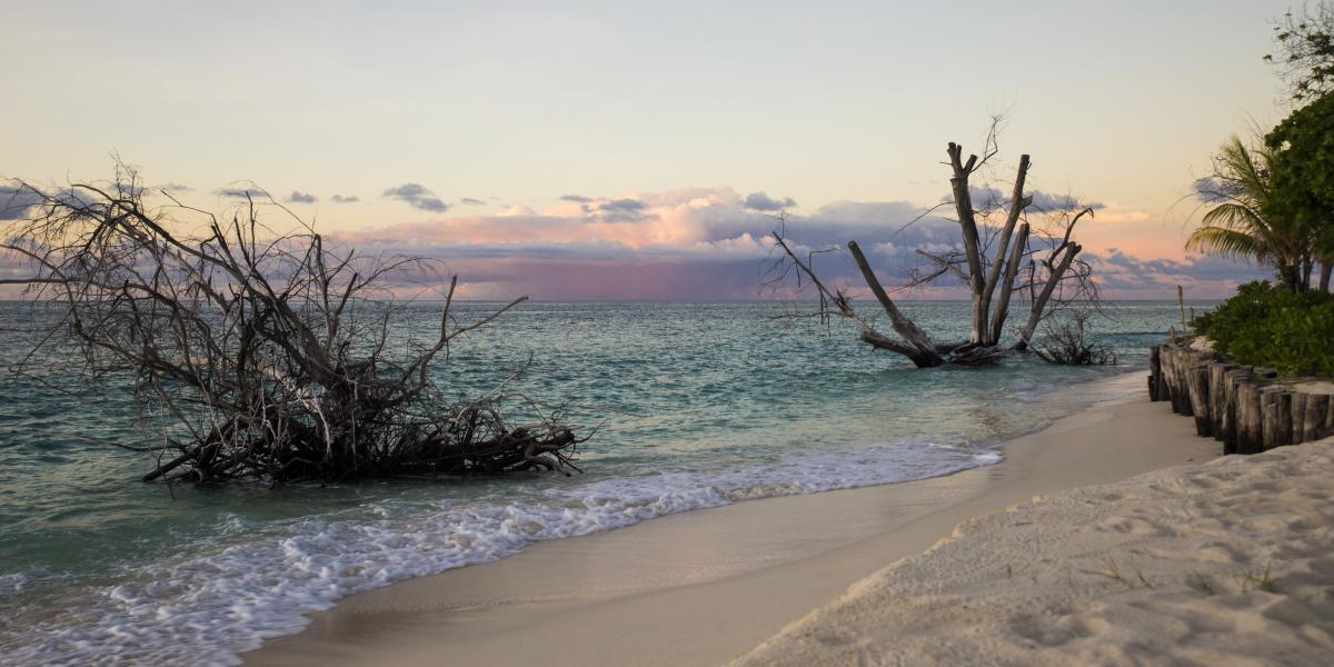 Beach "Denis Island Beaches" Other islands (Seychelles)