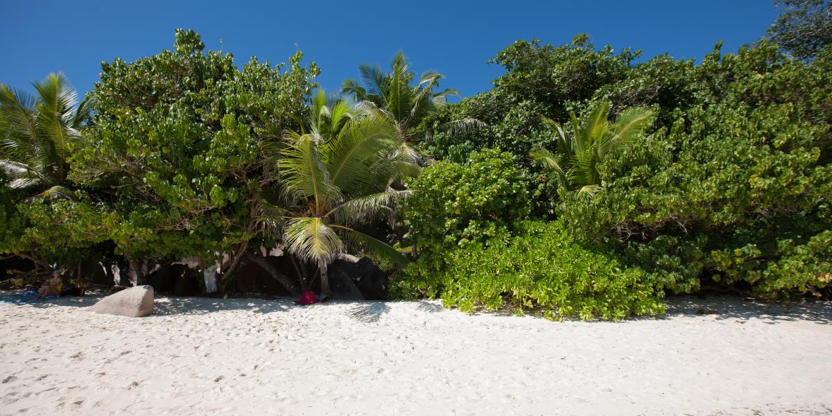 Plage "Anse Source d'Argent" La Digue (Seychelles)