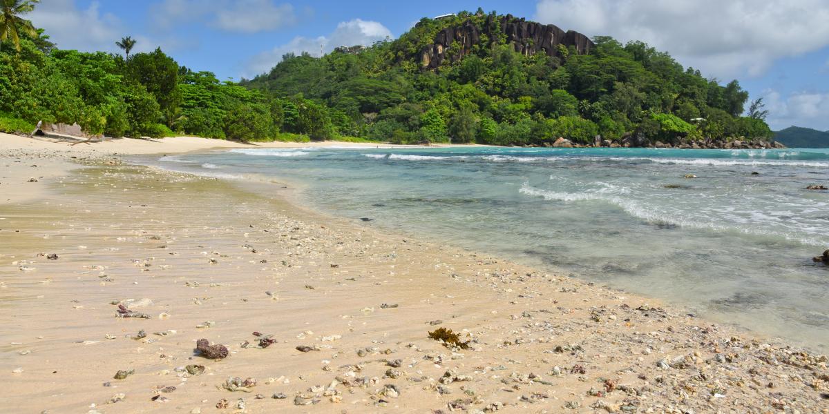 Beach "Anse Louis" Mahé (Seychelles)