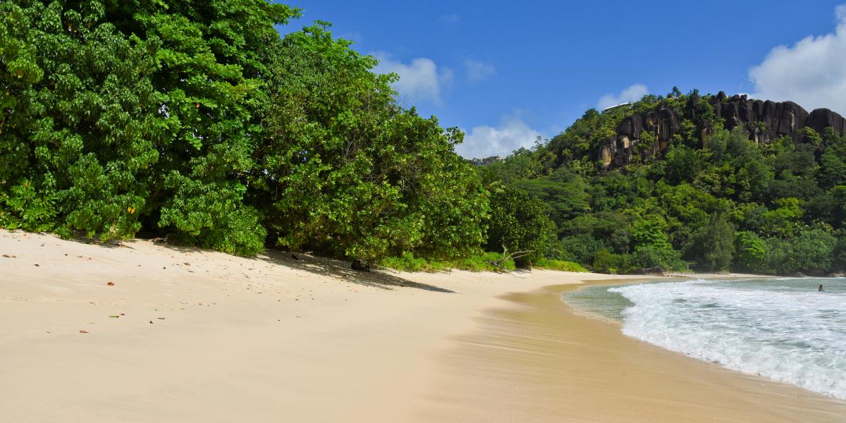 Beach "Anse Louis" Mahé (Seychelles)