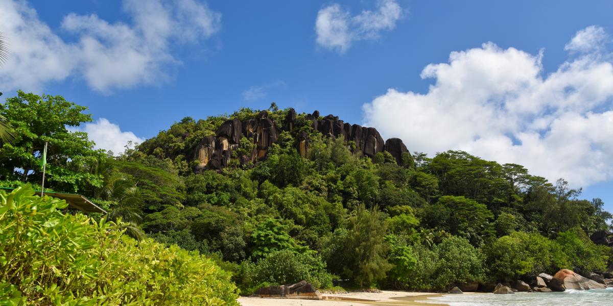 Beach "Anse Louis" Mahé (Seychelles)