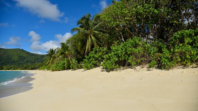 Beach "Anse Royale" Mahé (Seychelles)