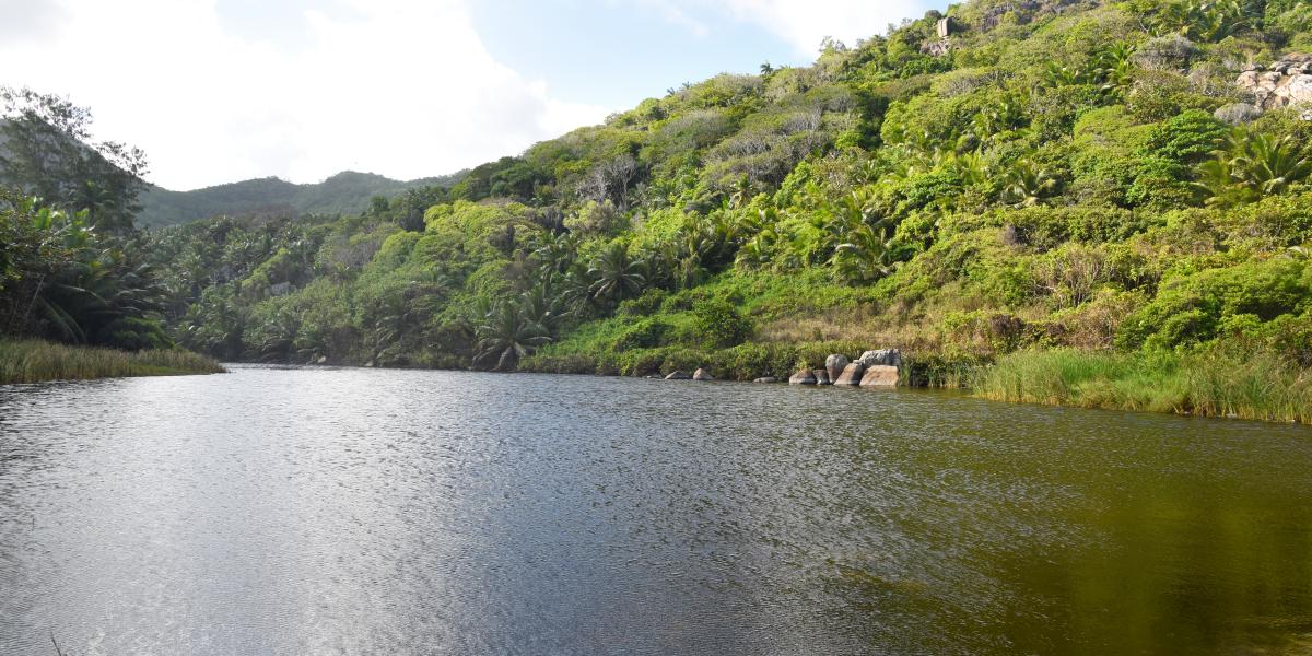 Plage "Police Bay" Mahé (Seychelles)