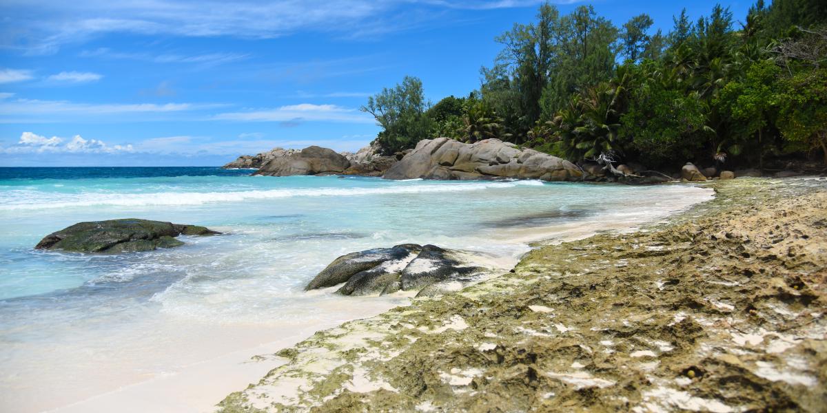 Beach "Police Bay" Mahé (Seychelles)