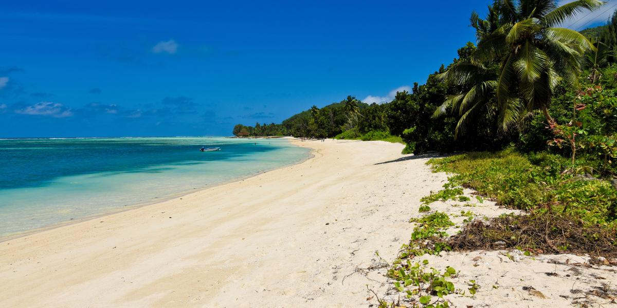 Strand "Turtle Bay" Mahé (Seychellen)