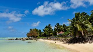 Strand "Turtle Bay" Mahé (Seychellen)