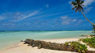 Strand "Turtle Bay" Mahé (Seychellen)