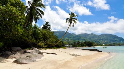Strand "Turtle Bay" Mahé (Seychellen)