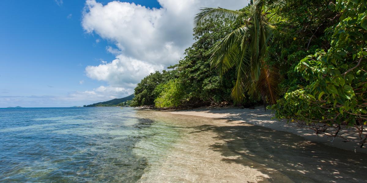 Beach "Anse Bois de Rose" Praslin (Seychelles)
