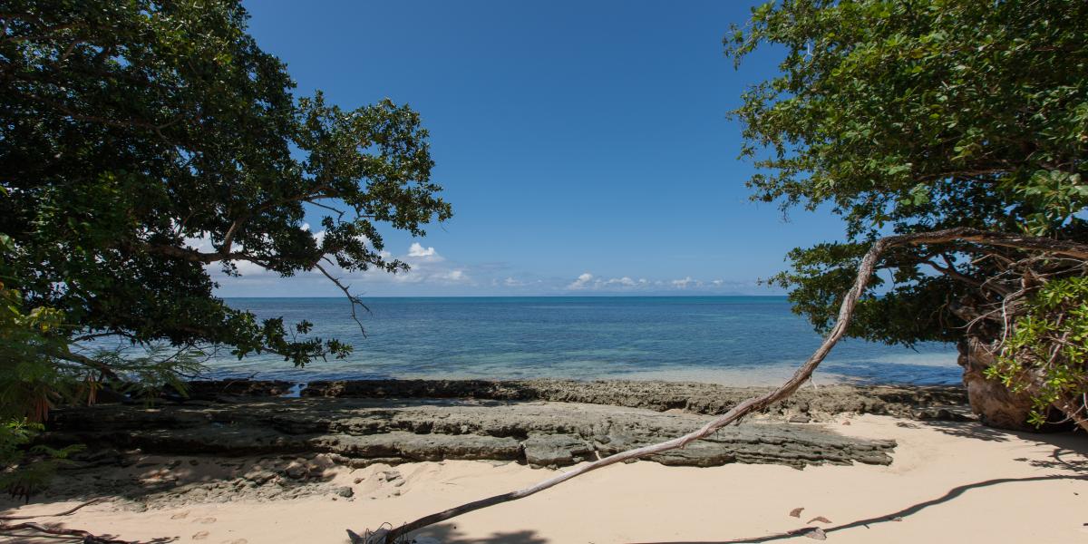 Beach "Anse Bois de Rose" Praslin (Seychelles)