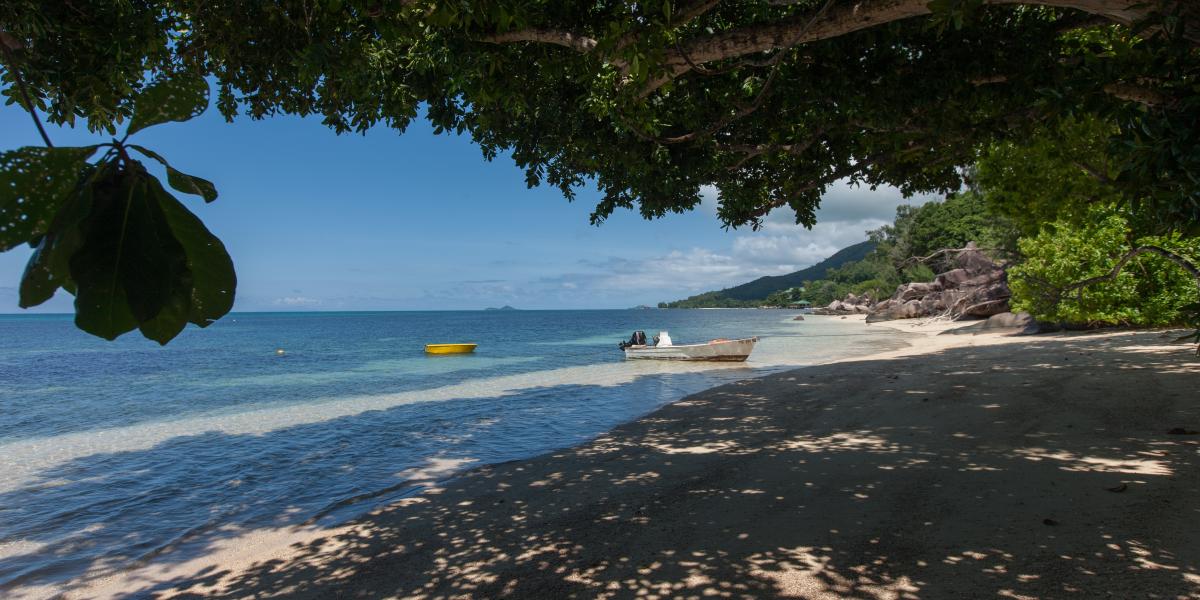 Beach "Anse Bois de Rose" Praslin (Seychelles)