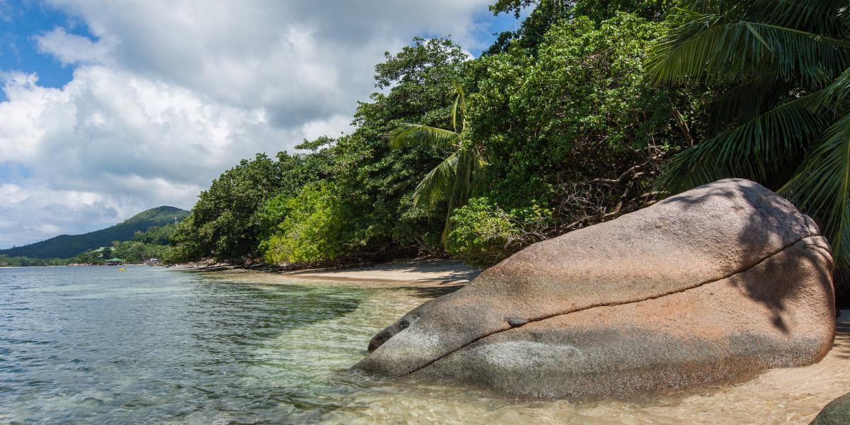 Beach "Anse Bois de Rose" Praslin (Seychelles)