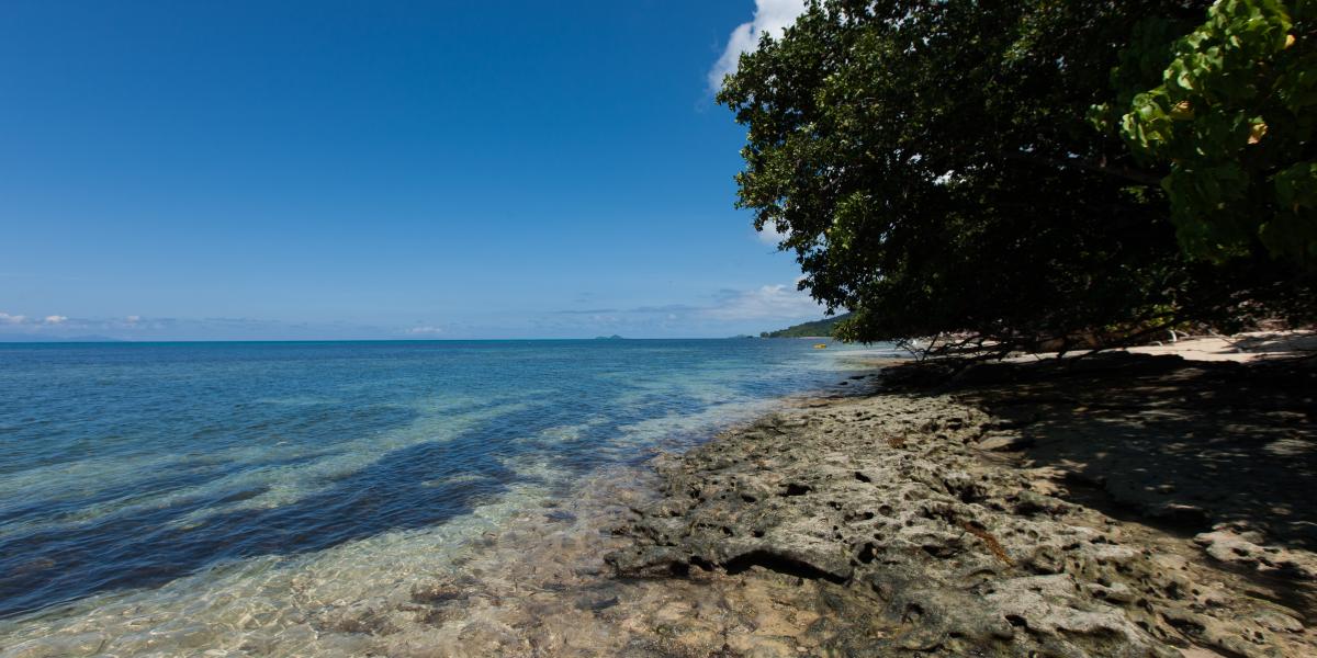 Beach "Anse Bois de Rose" Praslin (Seychelles)