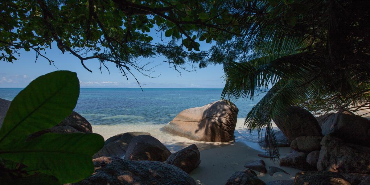 Beach "Anse Bois de Rose" Praslin (Seychelles)