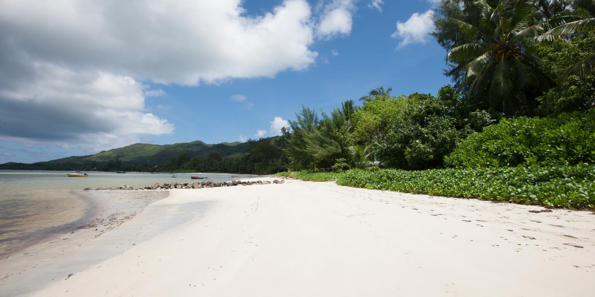 Beach "Anse Bois de Rose" Praslin (Seychelles)
