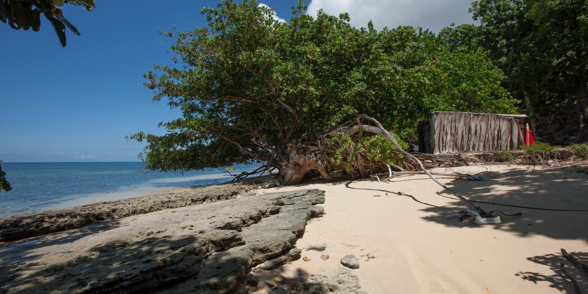 Beach "Anse Bois de Rose" Praslin (Seychelles)