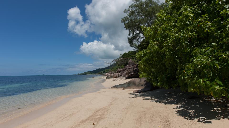 Beach "Anse Bois de Rose" Praslin (Seychelles)
