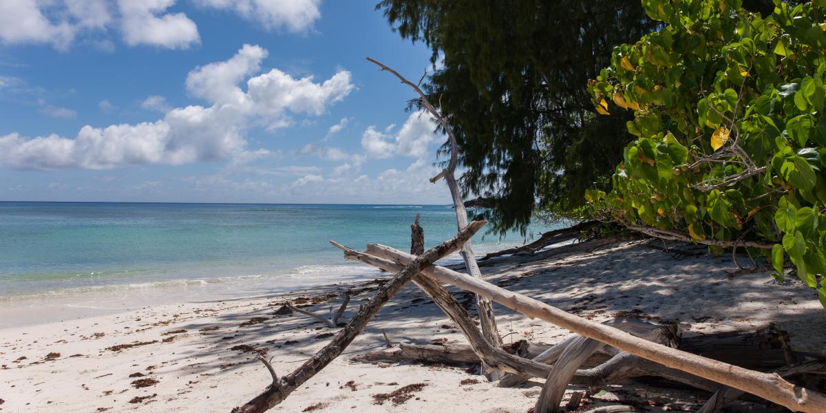 Beach "Anse Matelot" Praslin (Seychelles)