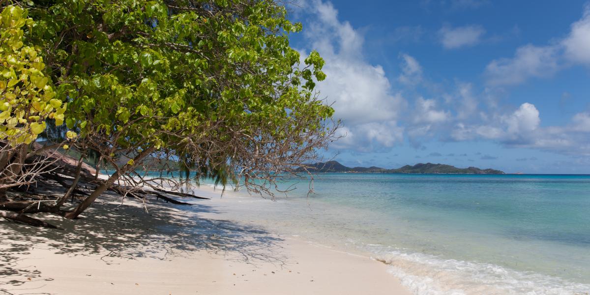 Strand "Anse Matelot" Praslin (Seychellen)
