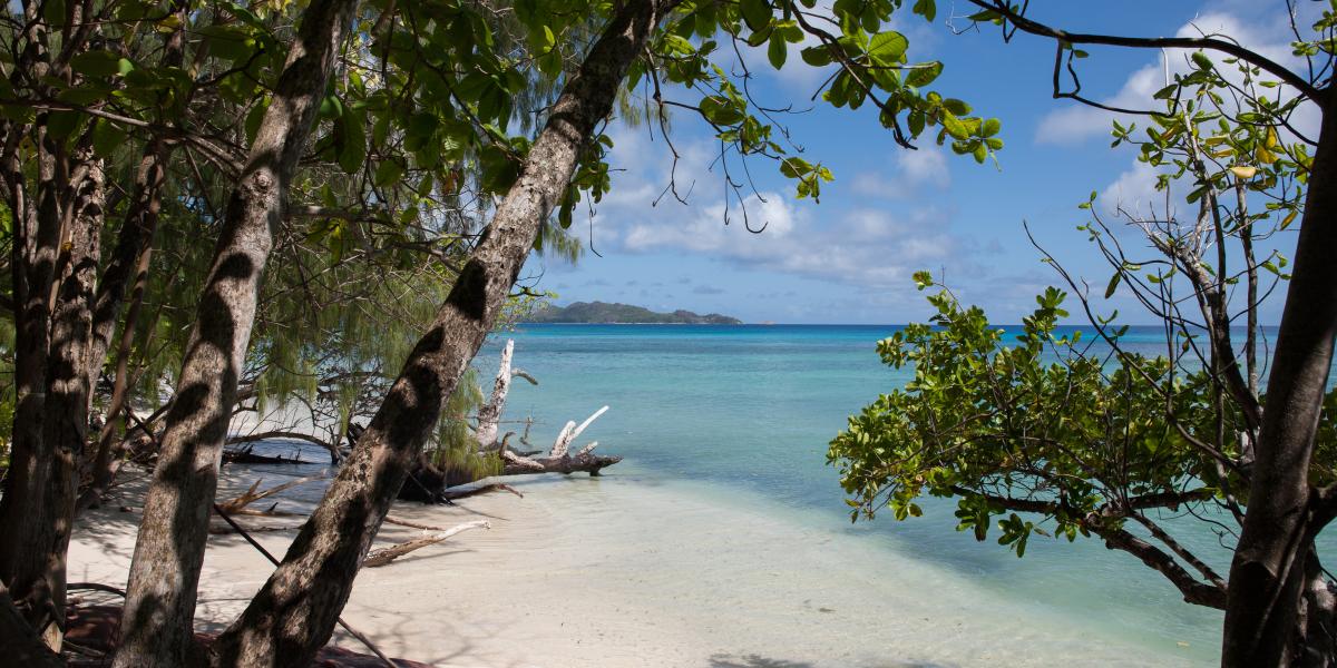 Strand "Anse Matelot" Praslin (Seychellen)