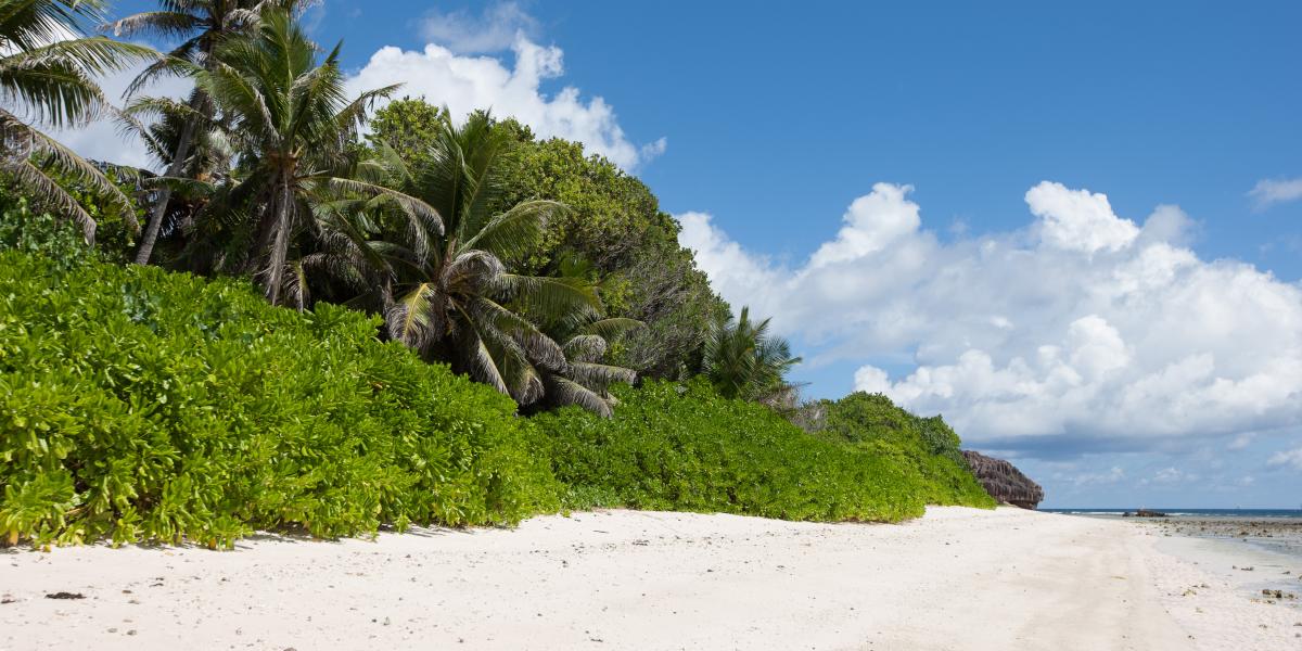 Beach "Anse Grosse Roche" La Digue (Seychelles)