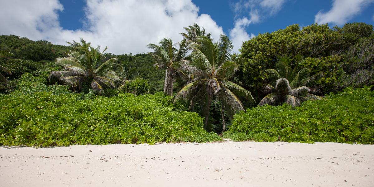 Beach "Anse Grosse Roche" La Digue (Seychelles)