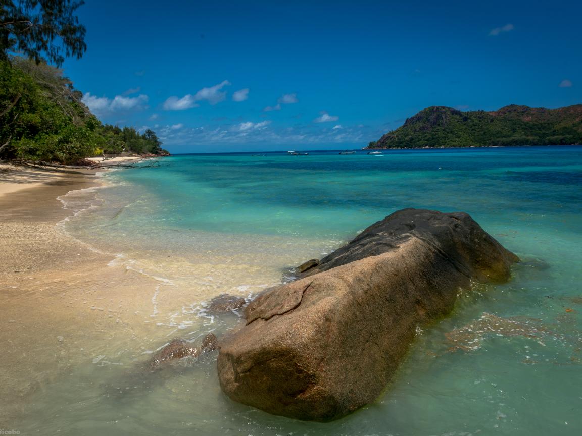 Private Tour Praslin - Tropik Travel & Tours: Private full-day ...