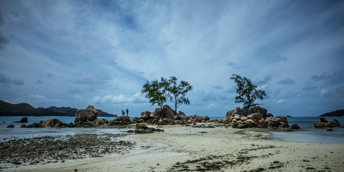 Private Tour Praslin - Tropik Travel & Tours: Private full-day ...