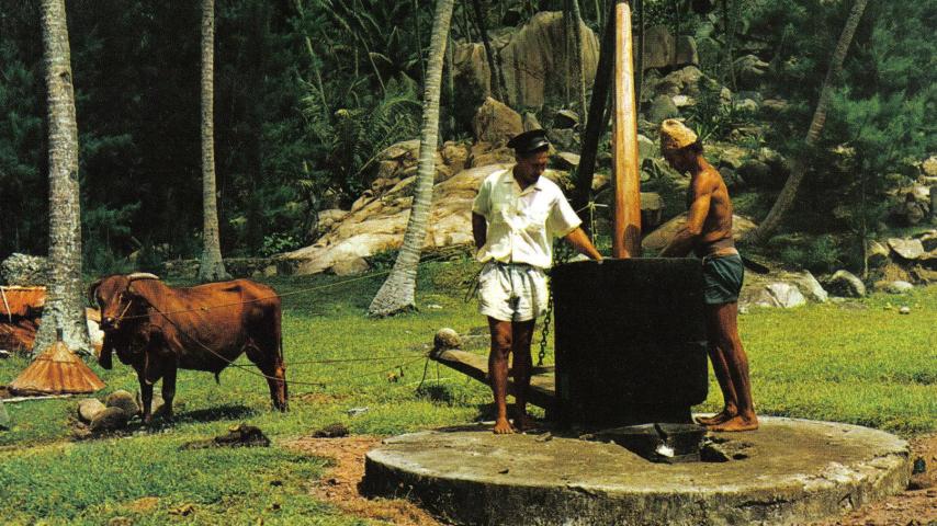 Seychelles History | Timeline of the Seychelles | Seychelles Travel Guide