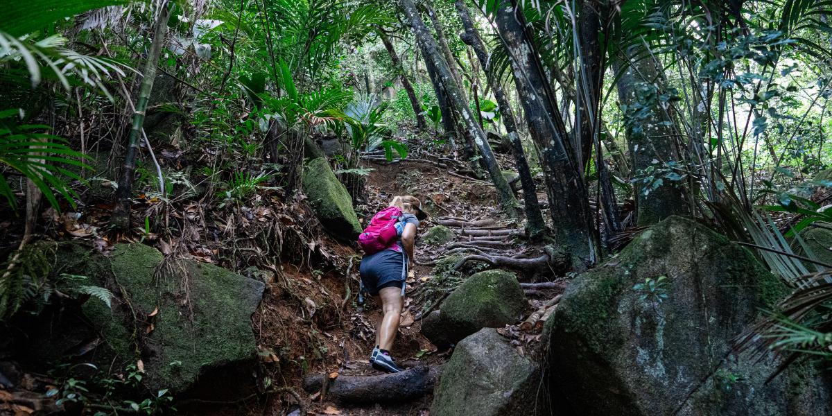 Hiking Trails & Advice for Mahé (Seychelles) | Seychelles Travel Guide