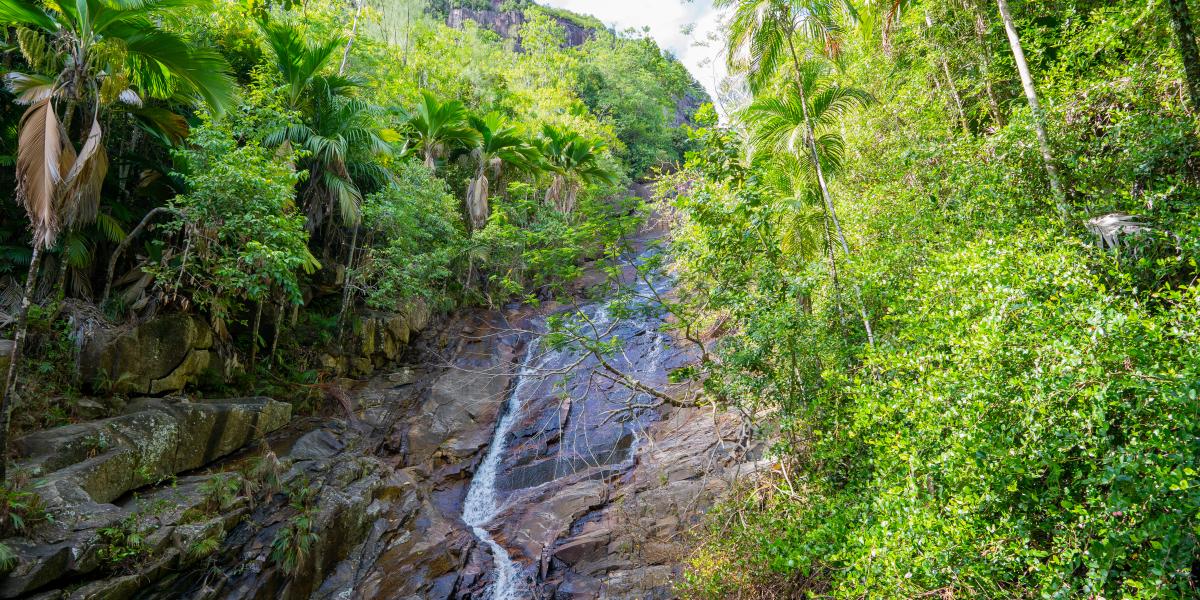 Hiking Trails & Advice for Mahé (Seychelles) | Seychelles Travel Guide