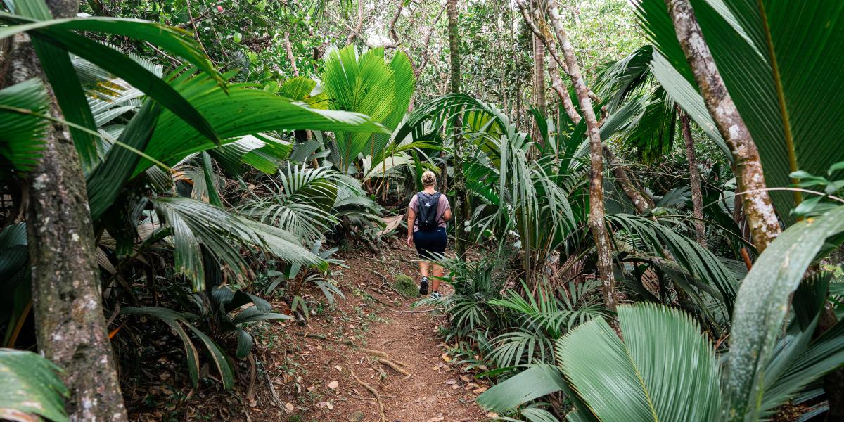 Hiking Trails & Advice for Mahé (Seychelles) | Seychelles Travel Guide
