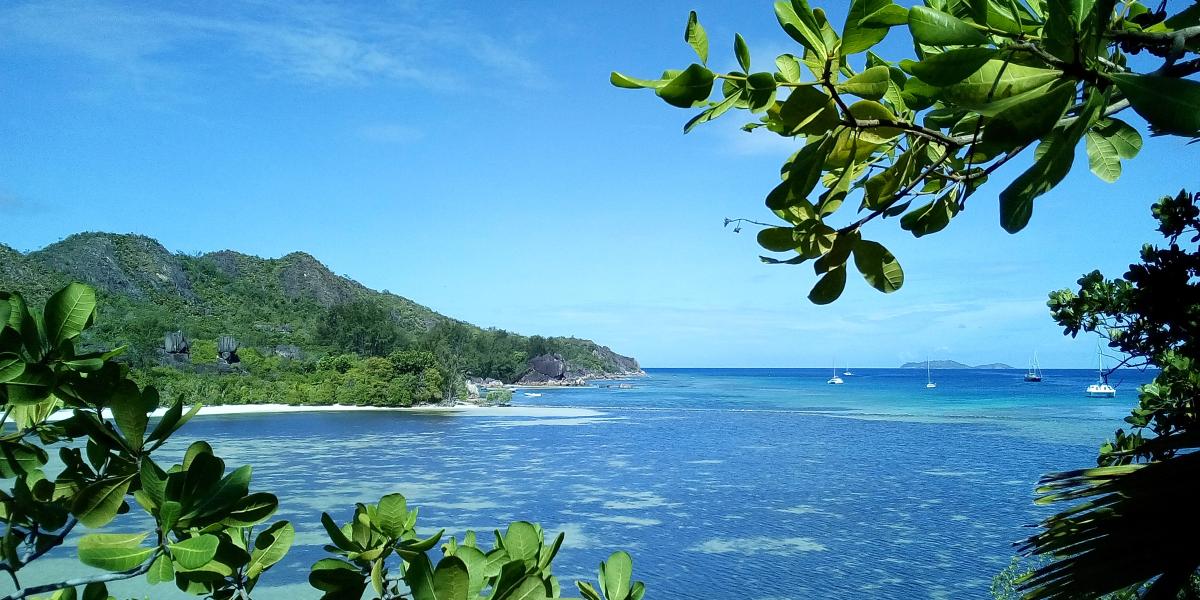 Curieuse Island (Seychellen) | Reisetipps & Infos zu den Inneren Inseln ...