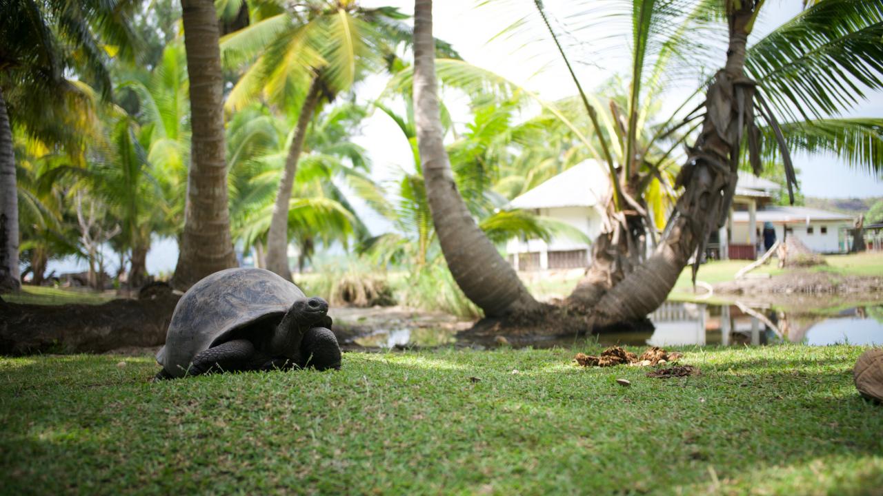 Curieuse Island (Seychelles) Travel Information | The Inner Islands ...