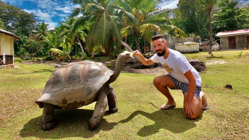 Curieuse Island (Seychelles) Travel Information | The Inner Islands ...