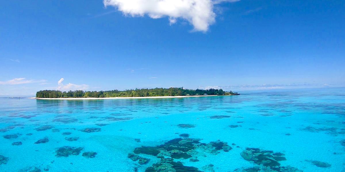 Denis Island (Seychelles) Travel Information | The Inner Islands ...