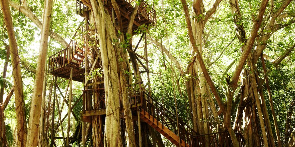 Frégate Island (Seychelles) Travel Information | The Inner Islands ...