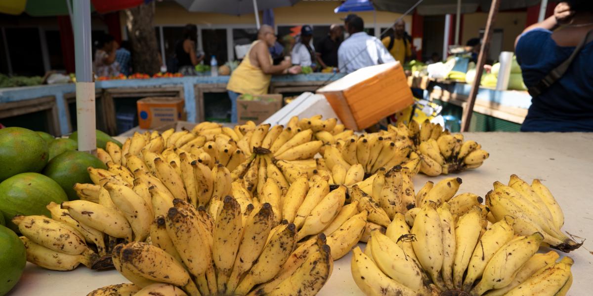 Manger & Boire aux Seychelles | Cuisine Créole | Guide de Voyage Seychelles