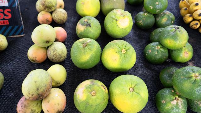 Manger & Boire aux Seychelles | Cuisine Créole | Guide de Voyage Seychelles