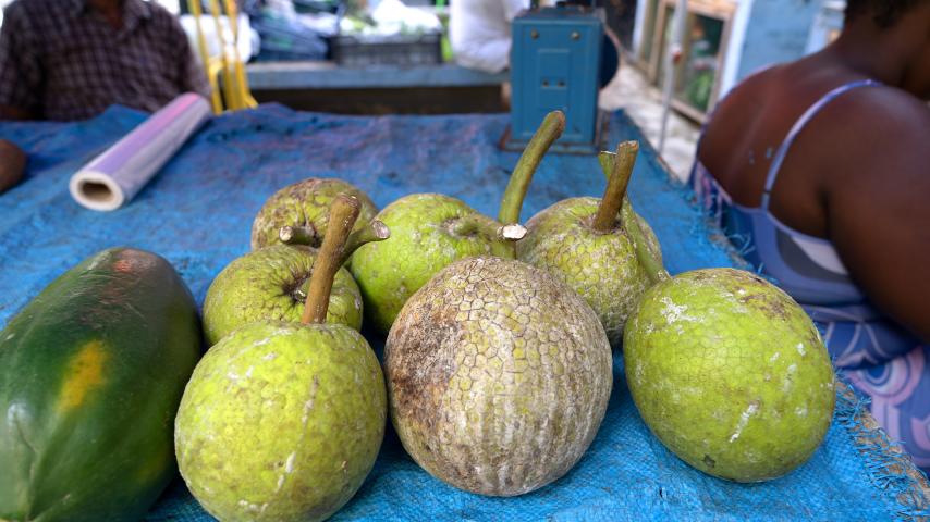 Manger & Boire aux Seychelles | Cuisine Créole | Guide de Voyage Seychelles
