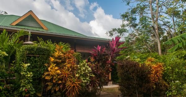 Cocotier Du Rocher Self Catering Apartments - Apartment - Outdoor area ...