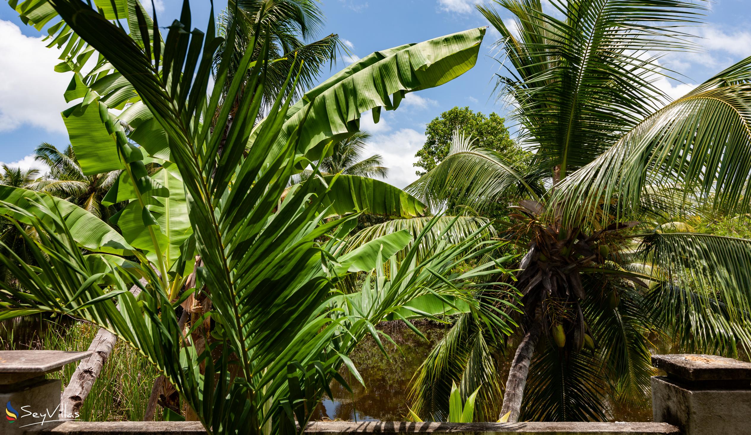 Villa Aya - Villa - Location - Praslin (Seychelles) - Photo 13