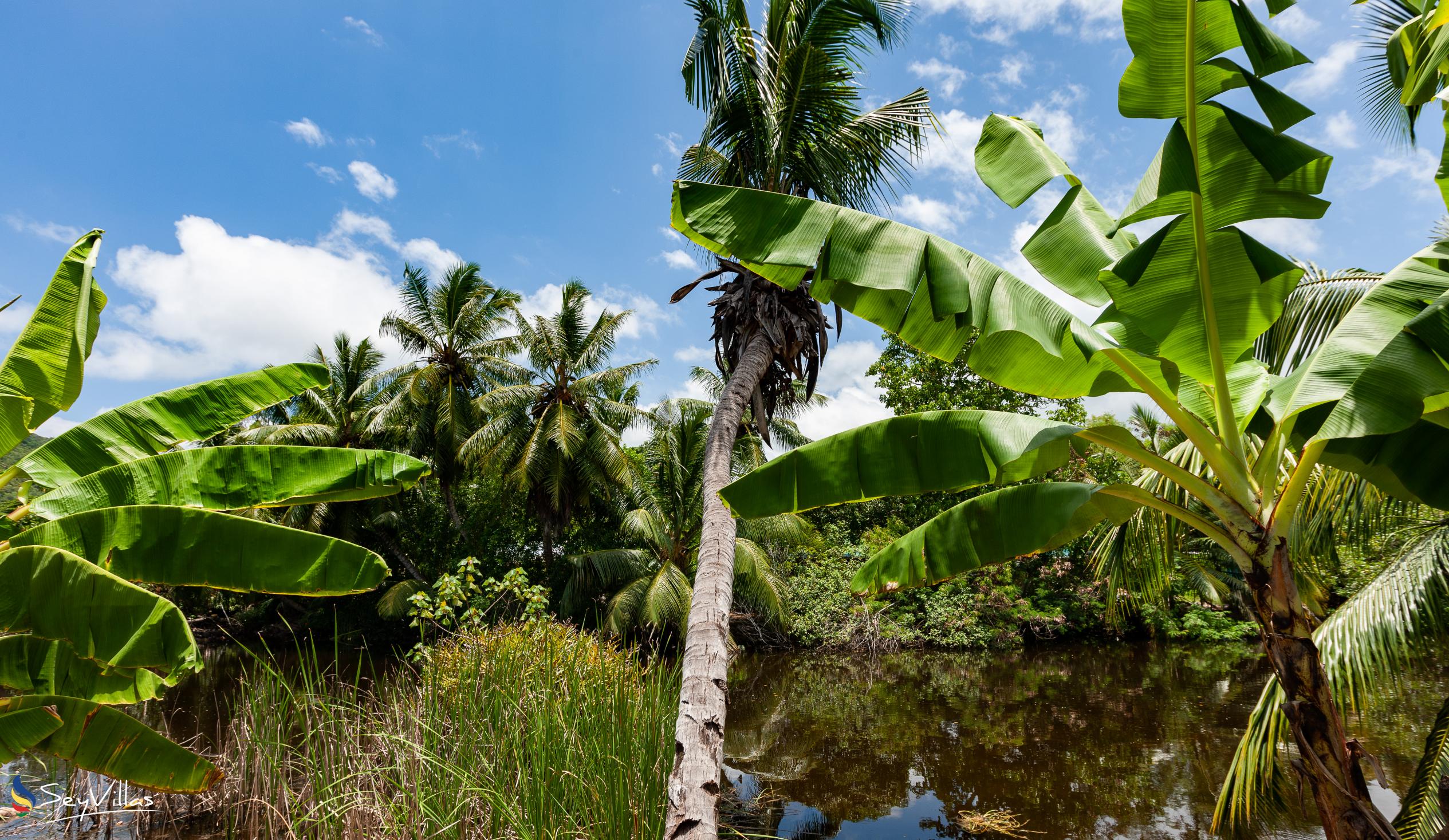 Villa Aya - Villa - Location - Praslin (Seychelles) - Photo 14