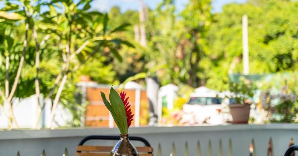 340 Degrees Mountain View Apartments - Appartement - Appartement mit ...