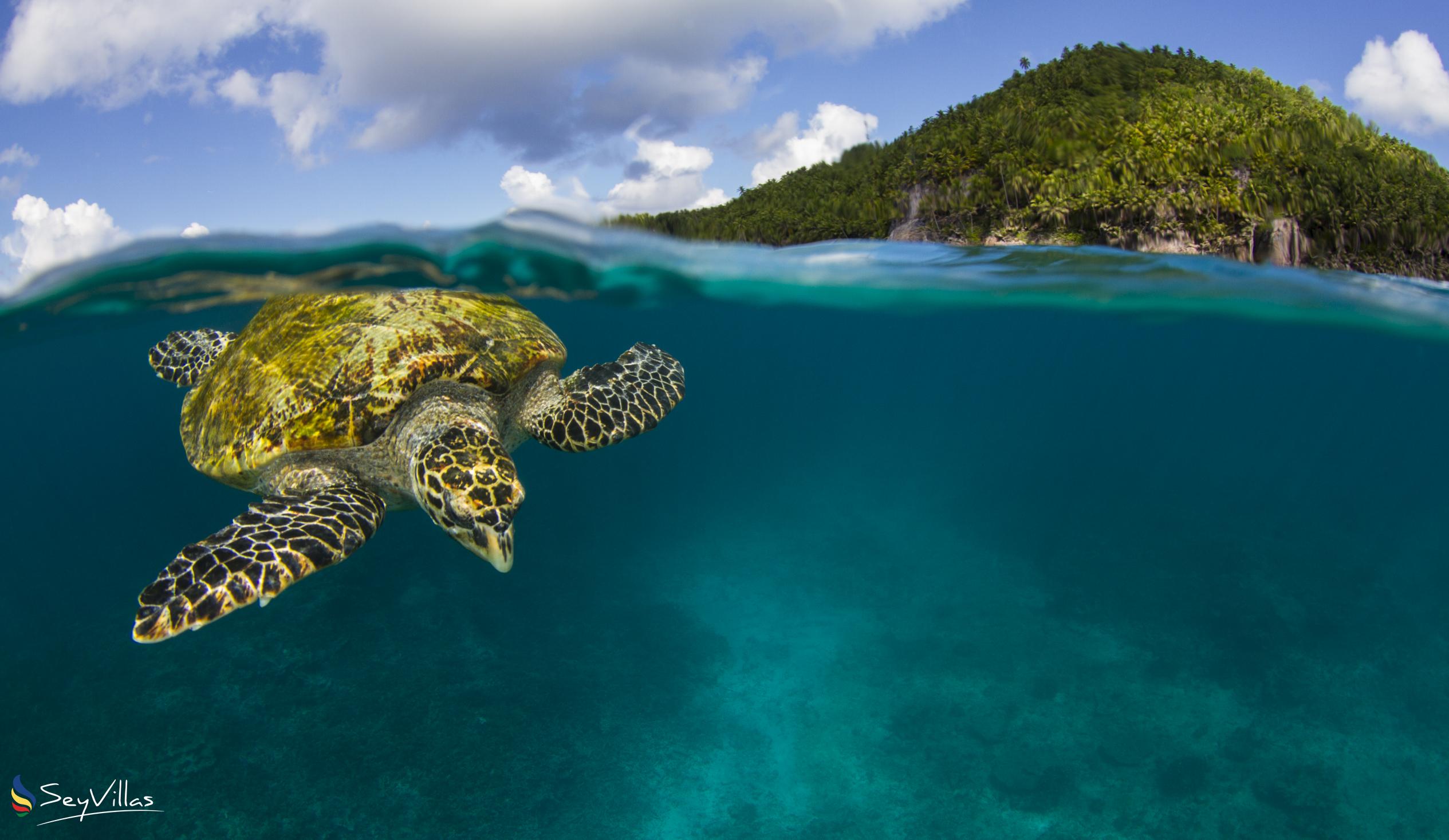 Fregate Island Private - Resort - Location - Fregate Island (Seychelles ...